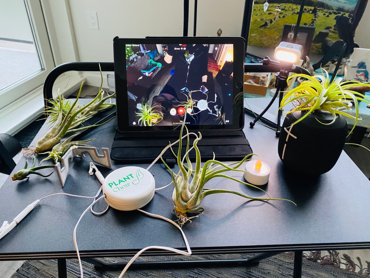 Eco Therapy Infographic – Careful Crafters